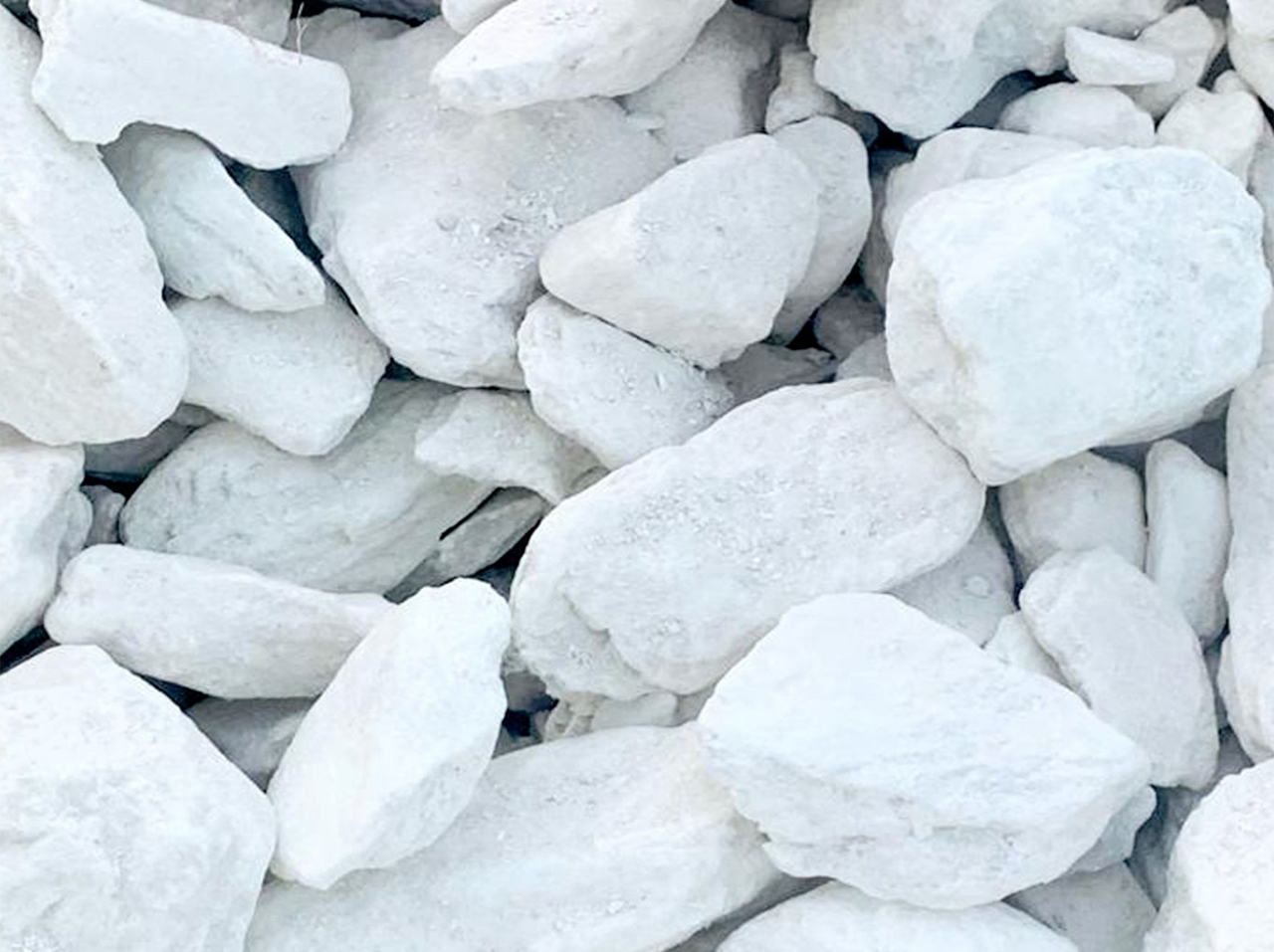 Home | Acromont Private Limited